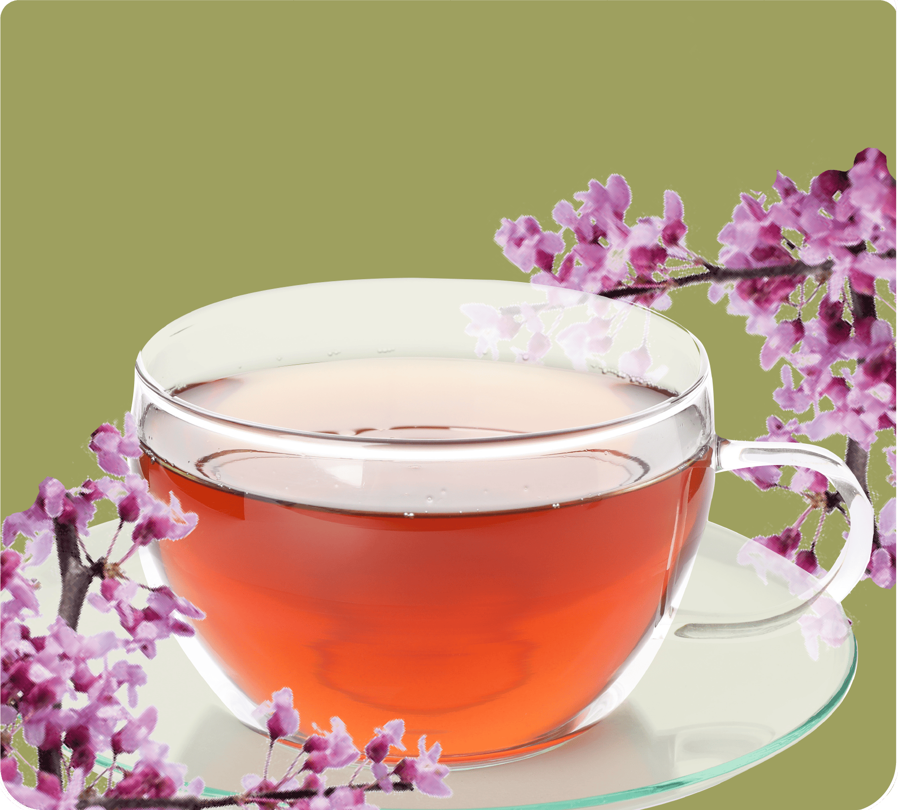Lapacho morado – Quansa
